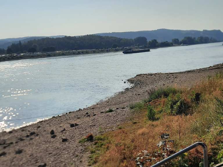 Aussichtspunkt Mariensäule – Aussicht auf Burg Rheineck Rondje vanuit ...