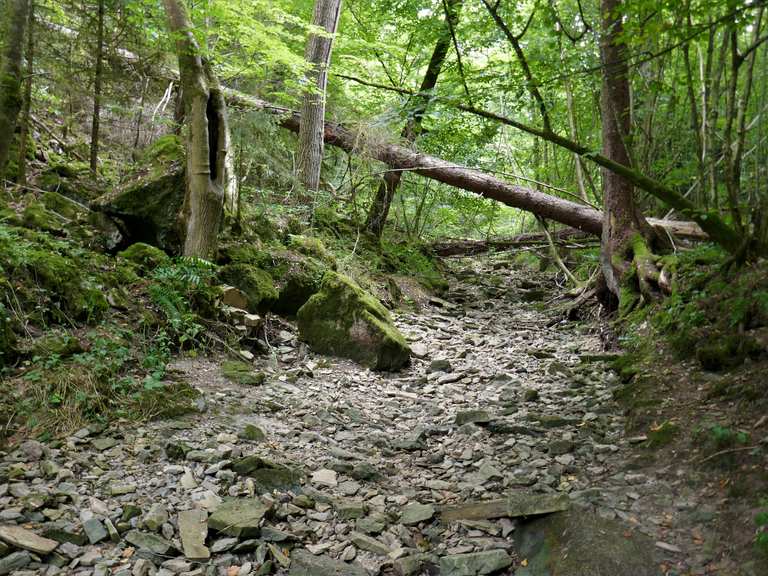 Der "Maubach" geht in den Untergrund: Wanderungen und Rundwege | komoot