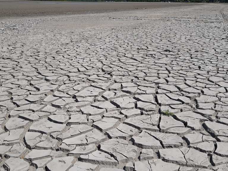 Zicksee, der im Moment ausgetrocknet ist: Mountainbike-Touren und -Trails | komoot