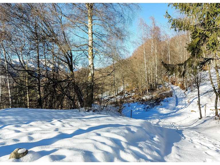 Piedmont Hills Trail to Parco d'Hansa Star Viewpoint (via Route R41 ...