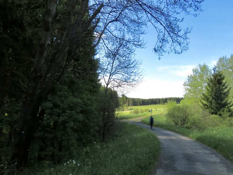 Eifel Stadtkyll – Wirft Rondje vanuit Stadtkyll | wandeling | Komoot
