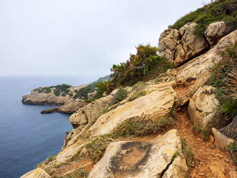 Torre y Cala d'en Basset por el Pas d'en Grau — circular desde Sant Elm ...