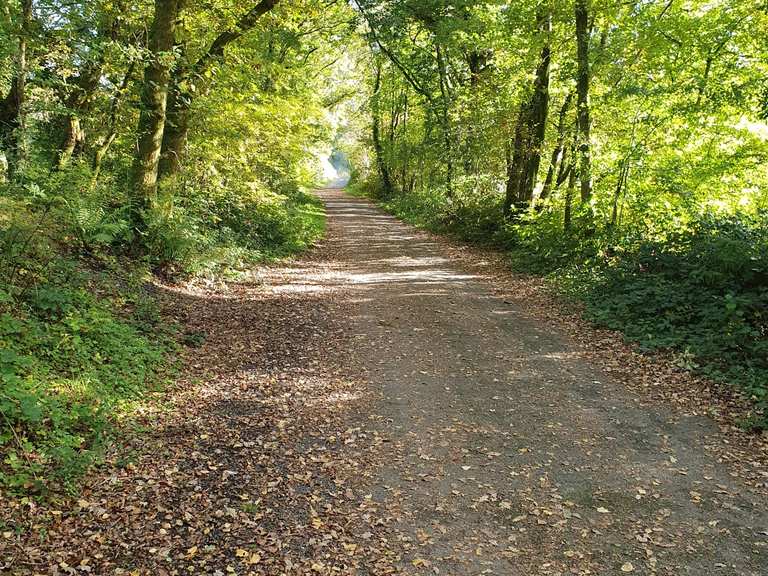 Drake's Trail - Road Cycle Routes and Map | Komoot