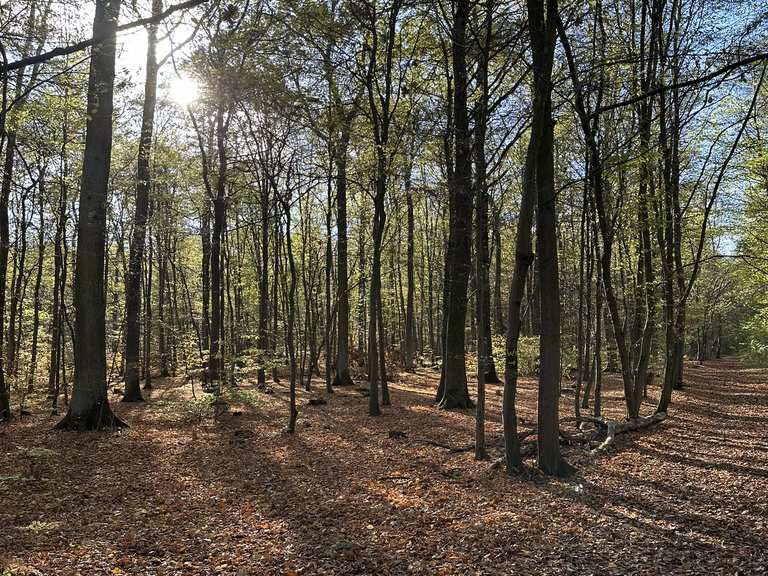 Felsformation an der Ahne – Ahneklamm Runde von Ahnatal-Weimar ...