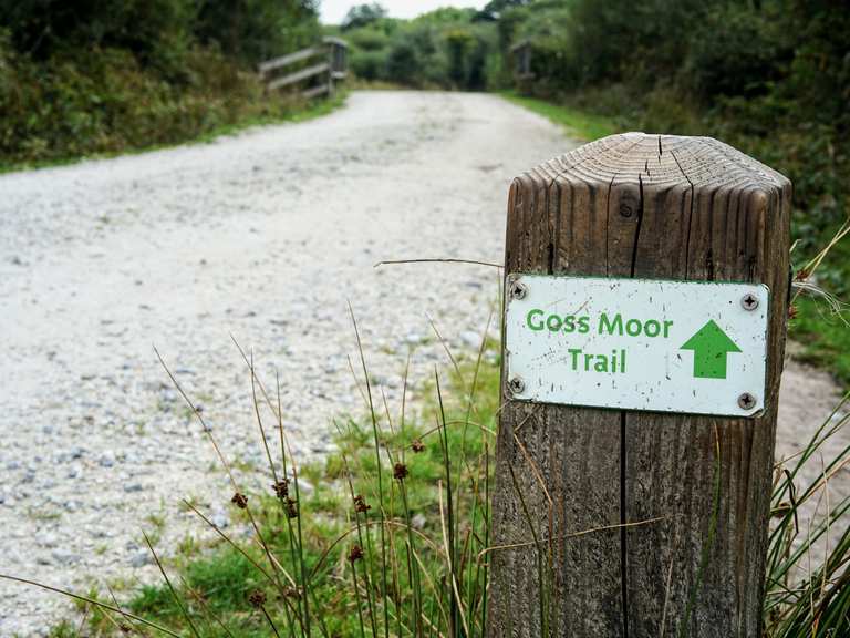 Goss Moor Trail : Radtouren und Radwege | komoot
