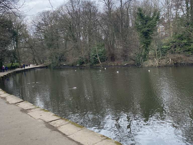 Endcliffe Park Routes for Walking and Hiking | Komoot