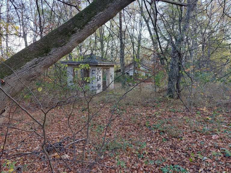 Waldfrieden im Hakel: Wanderungen und Rundwege | komoot