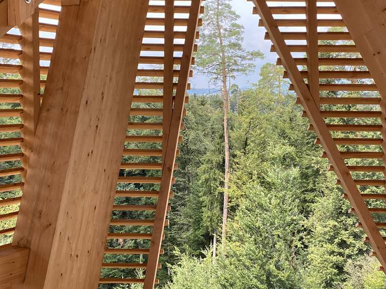 Hardwaldturm: Wanderungen und Rundwege | komoot