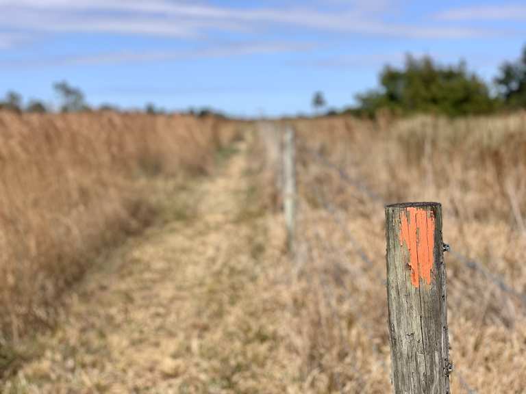 Five Mile Prairie Trail to Gum Slough — Kissimmee Prairie Preserve ...