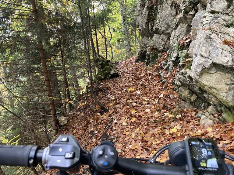 Wagnerweg Trail: Landschaftlich schön und flowig: Mountainbike-Touren ...
