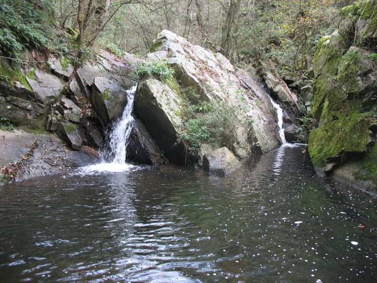 Aire protégée des prairies & landes de Montagny et le bois de Montrond ...