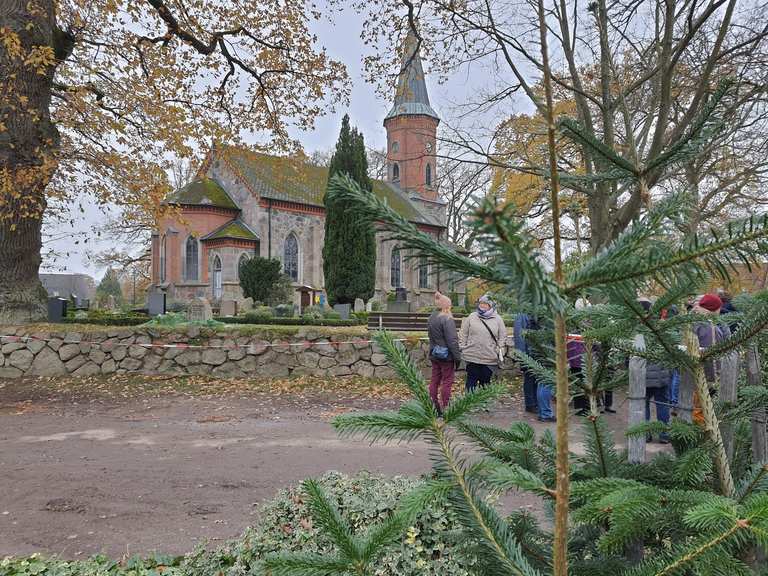 Gut Basthorst: Wanderungen und Rundwege | komoot