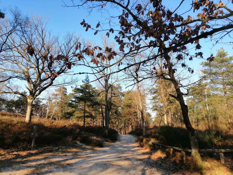 De Bolderberg wandelroutes en hikes | Komoot