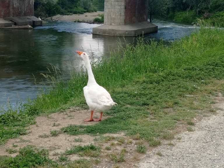 Sentiero delle ochette : percorsi escursionistici e trekking | Komoot