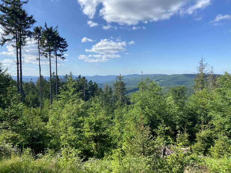 Raspberry Trail (Malinová Hora) Mountain Bike Trails & Tracks | Komoot