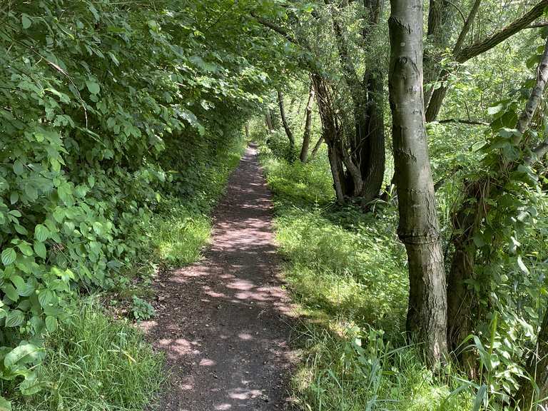 Trekpontje over de Dommel wandelroutes en hikes | Komoot