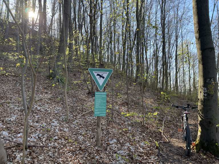 Singletrail nach Hitzelrode: MTB-routes en trails | Komoot