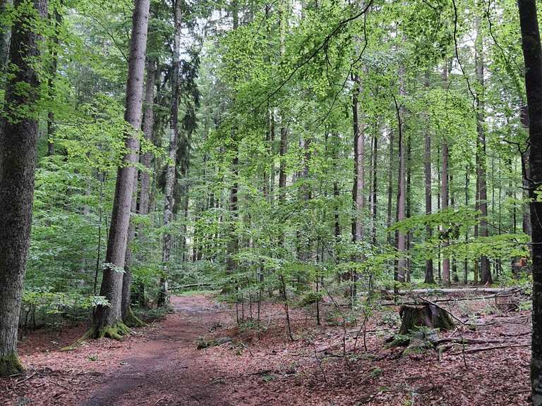 Wanderweg bei Guglöd: Wanderungen und Rundwege | komoot