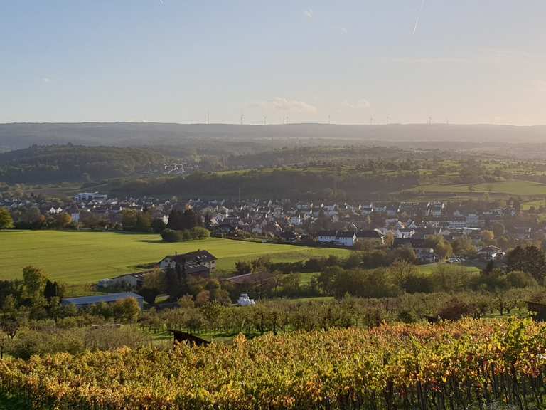 Panorama Ellmendingen: Mountainbike-Touren und -Trails | komoot