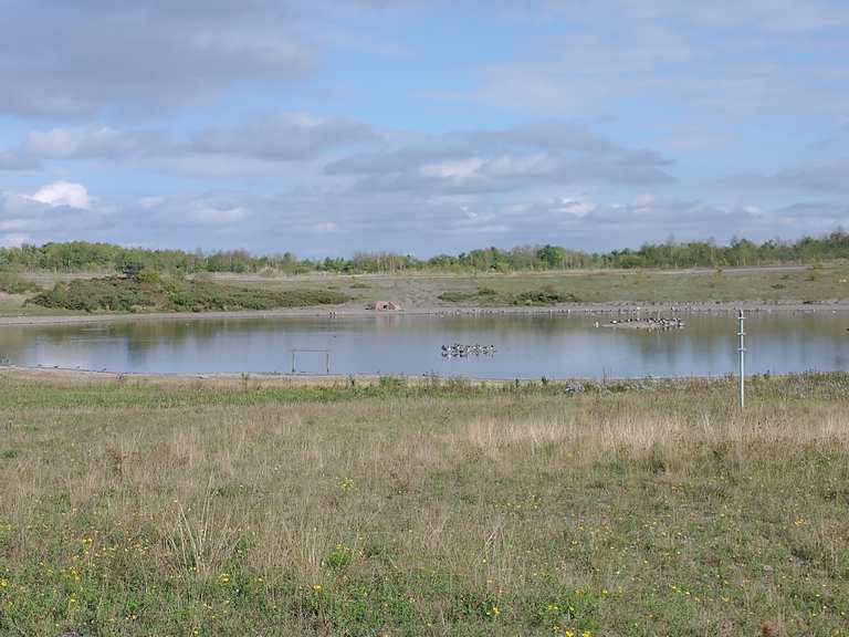 Pit Ponds – Pleasley Pit Country Park loop from Pleasley | hike | Komoot