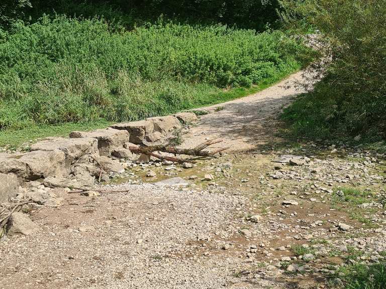 Donauversickerung mit trockenem "Flussbett" - Cycle Routes and Map | Komoot