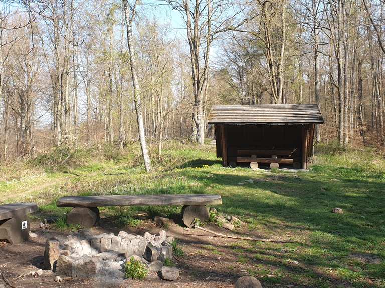 Parque natural de Schönbuch: Ruta geológica de Kirnbach – Grandes áreas ...