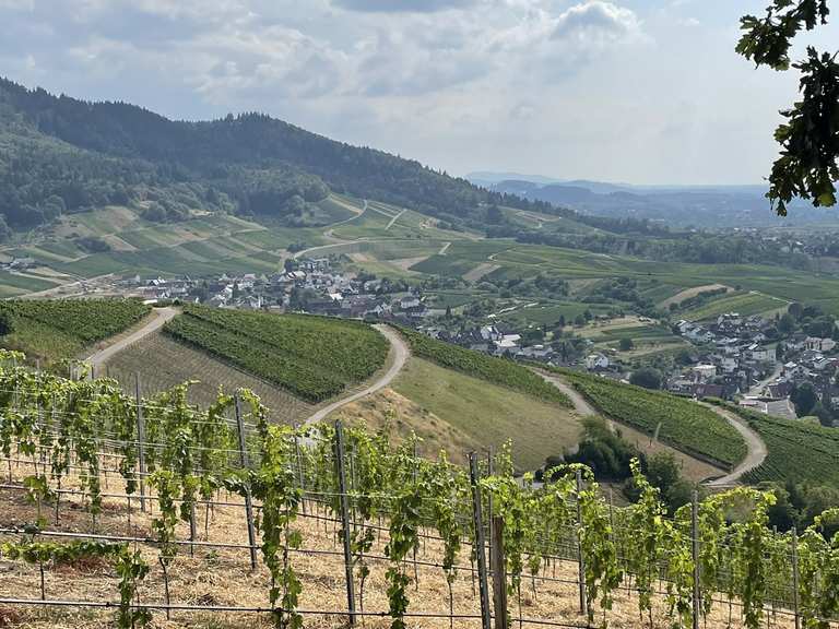 Varnhalt - Weinberg - Wanderung - Itinéraires de rando et marche | Komoot