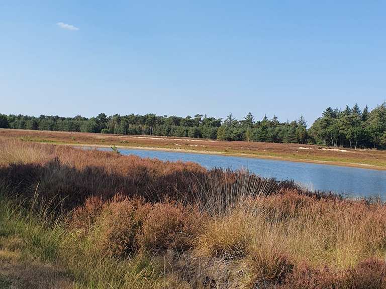 Kronkelen over de Somerense Heide wiellerroutes en kaart | Komoot