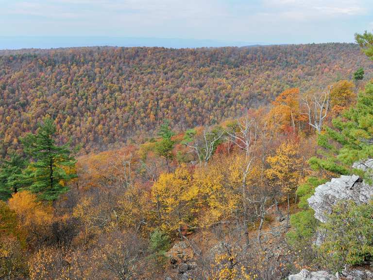 Strickler Knob via Massanutten Trail — George Washington National ...