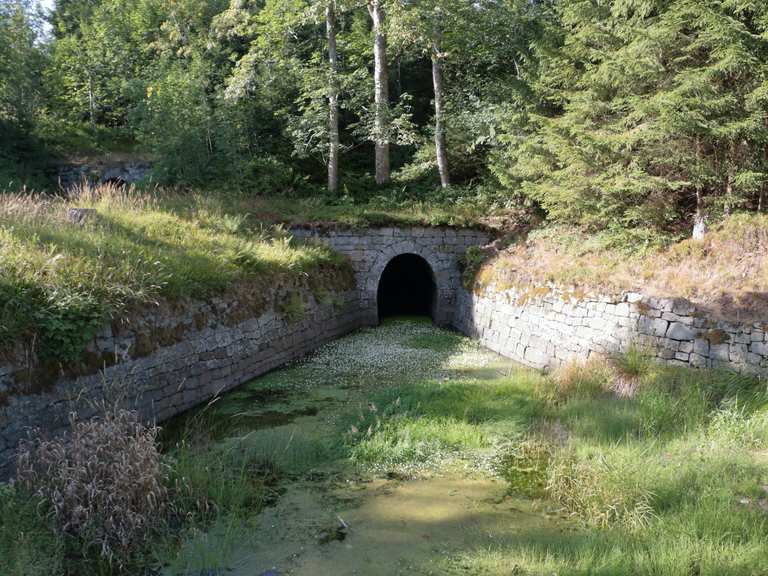 Der lange Graben: Wanderungen und Rundwege | komoot
