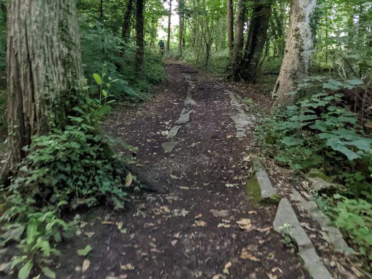 Templar Way Bridleway (Dartmoor National Park) Cycle Routes and Map ...