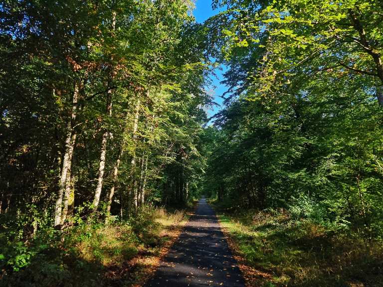 Lac du Val Joly via the château de Trélon — loop from Eppe-Sauvage in the parc naturel régional ...