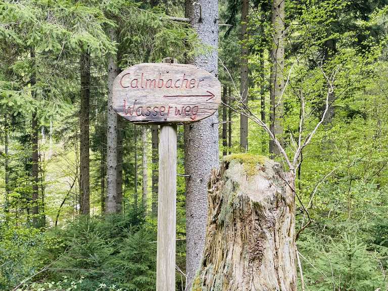 Calmbacher Wasserweg: Wanderungen und Rundwege | komoot