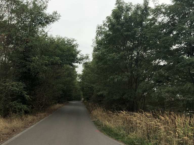 Pista ciclabile tra Senftenberg e Sedlitz: percorsi per bici da corsa ...