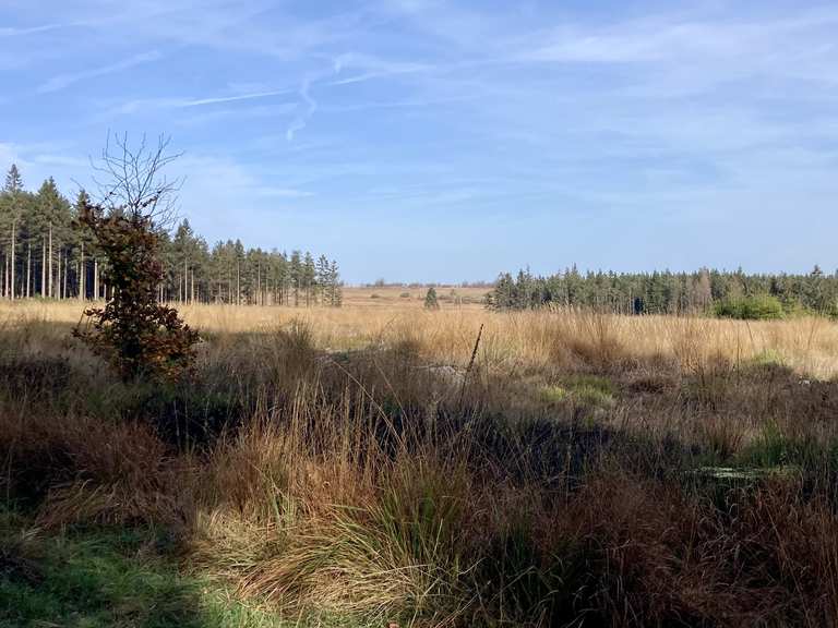 Fagne wallonne - Itinéraires vélo et carte | Komoot