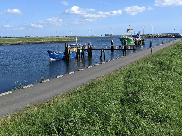 Bruinisse: Vluchthaven: Wanderungen und Rundwege | komoot