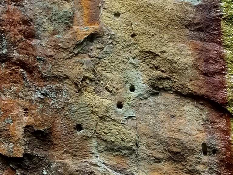 Pine Swamp Mine Routes for Walking and Hiking | Komoot