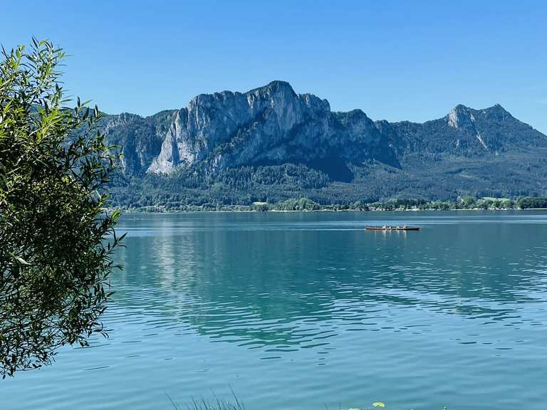 Almeida Park am Mondsee: Wanderungen und Rundwege | komoot