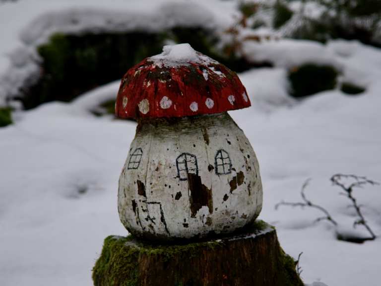 WALDGEIST am WC: Wanderungen und Rundwege | komoot