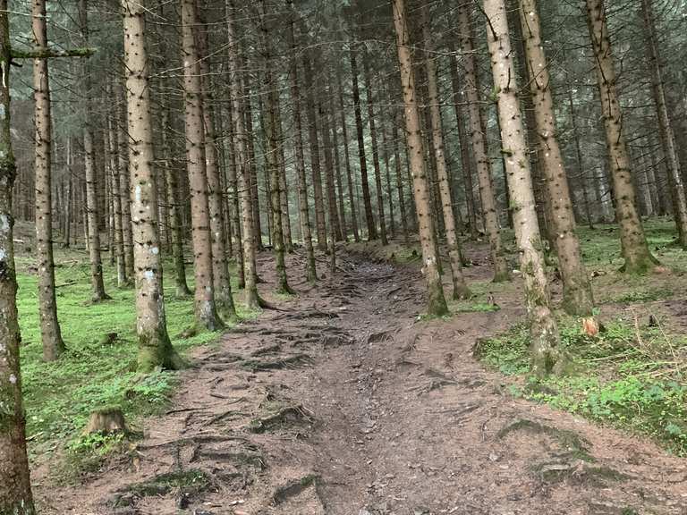 Altstädter Hof – Trail vom Altstädter Hof Runde von Staig ...
