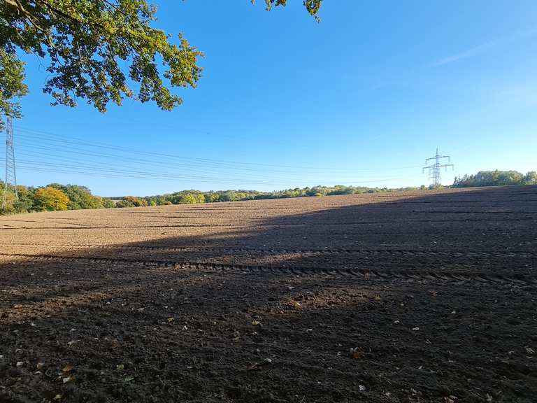 Schöner Weg über das Feld: Wanderungen und Rundwege | komoot