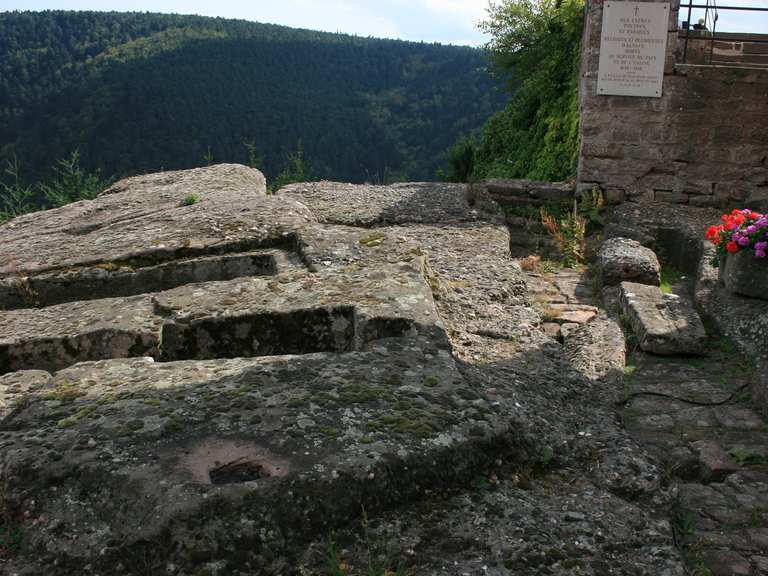 Gräber der Merowinger: Wanderungen und Rundwege | komoot