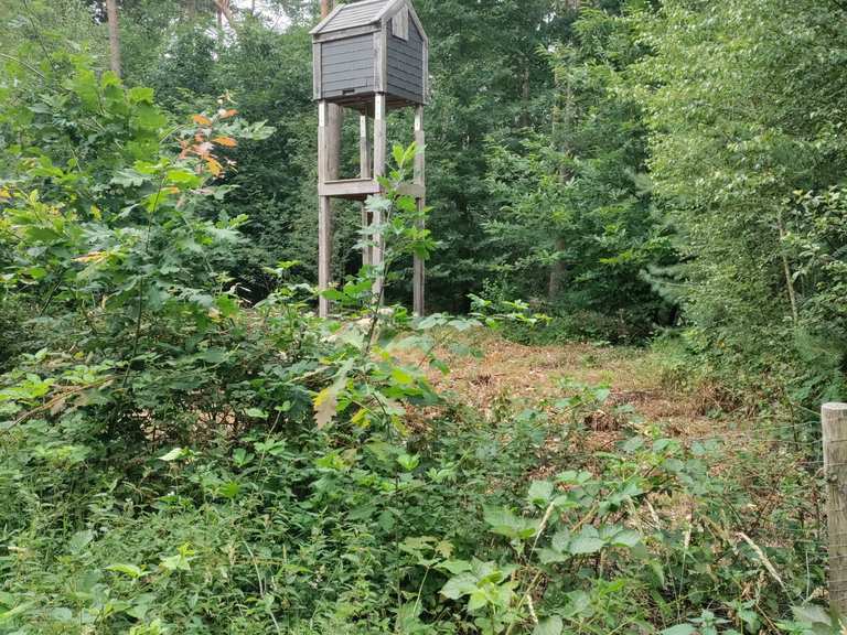 Rode Vis – Vennen in Domein Hertenberg Rondje vanuit Blauberg ...