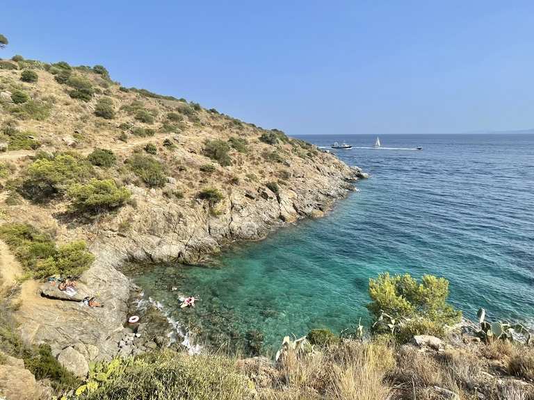 Punta Falconera – Cala del Lledó Circuit à partir de l'Almadrava ...