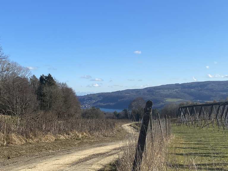 Uferpark Hemmenhofen – Hofladen Oberdorf 1 loop from Hemmenhofen | hike ...