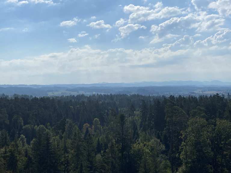 Aussichtsturm Hardwald : Radtouren und Radwege | komoot