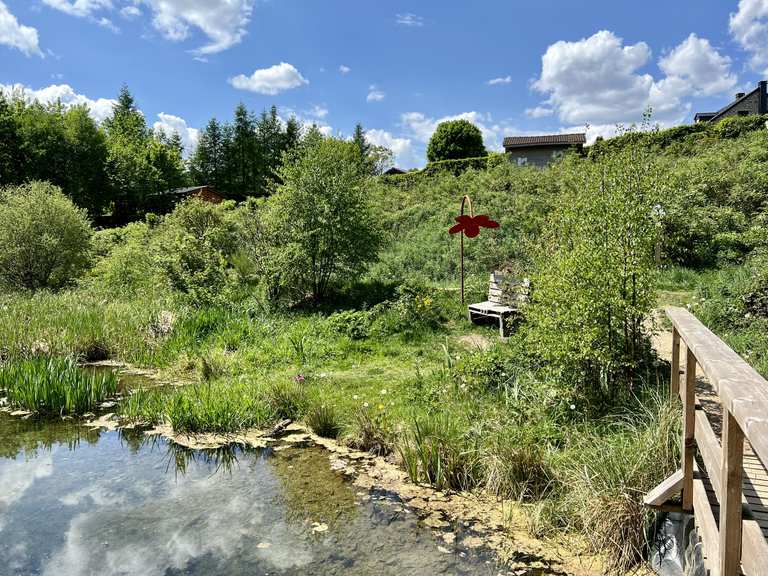 Barrage de Robertville – Cascade de Reinhardstein Rondje vanuit ...