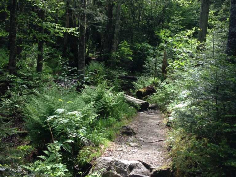Mount Washington via o Ammonoosuc Ravine e Jewell Trail loop — White ...