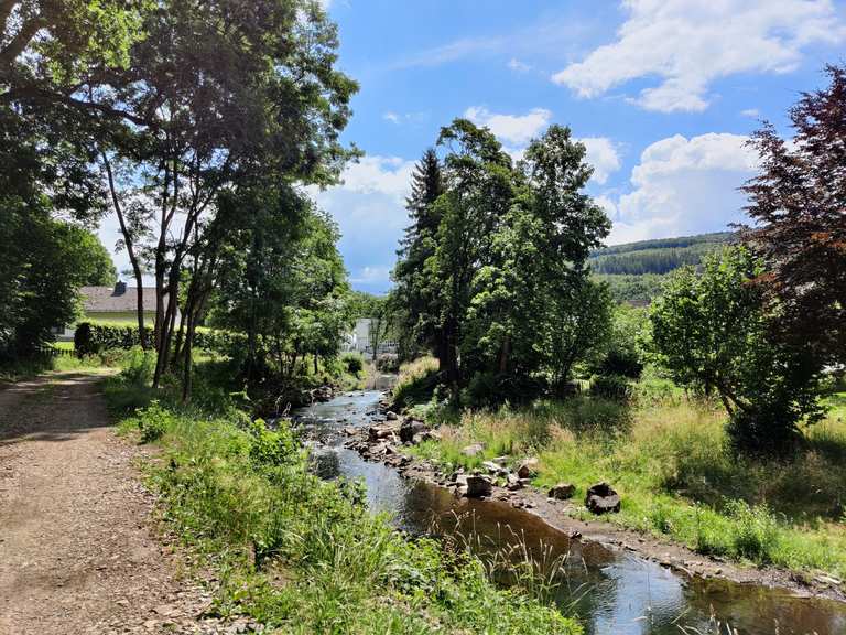 Op slingerende paden - Thema-Tour 7 - Nationaal Park Eifel | wandeling ...