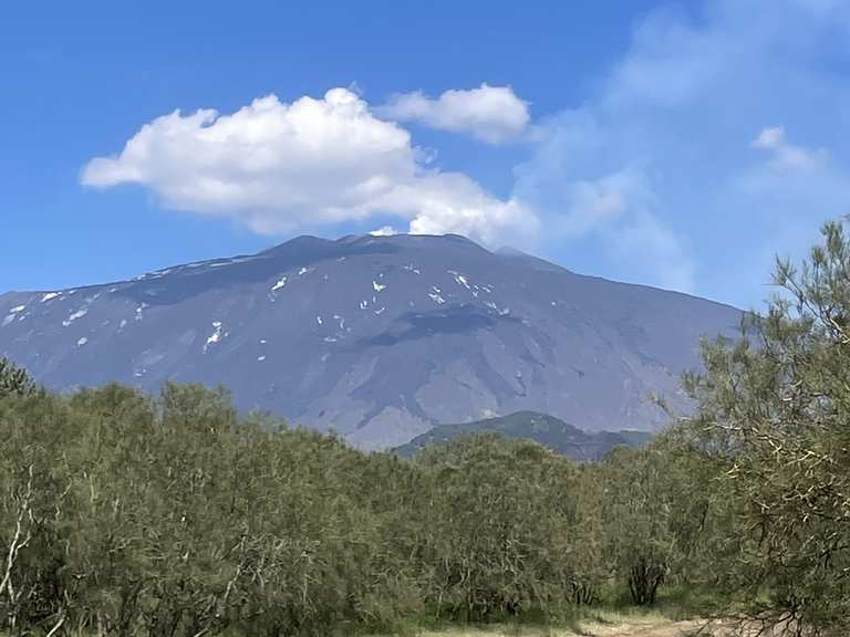 Monte Ruvolo - Rundtour im Etna-Park | Wanderung | Komoot